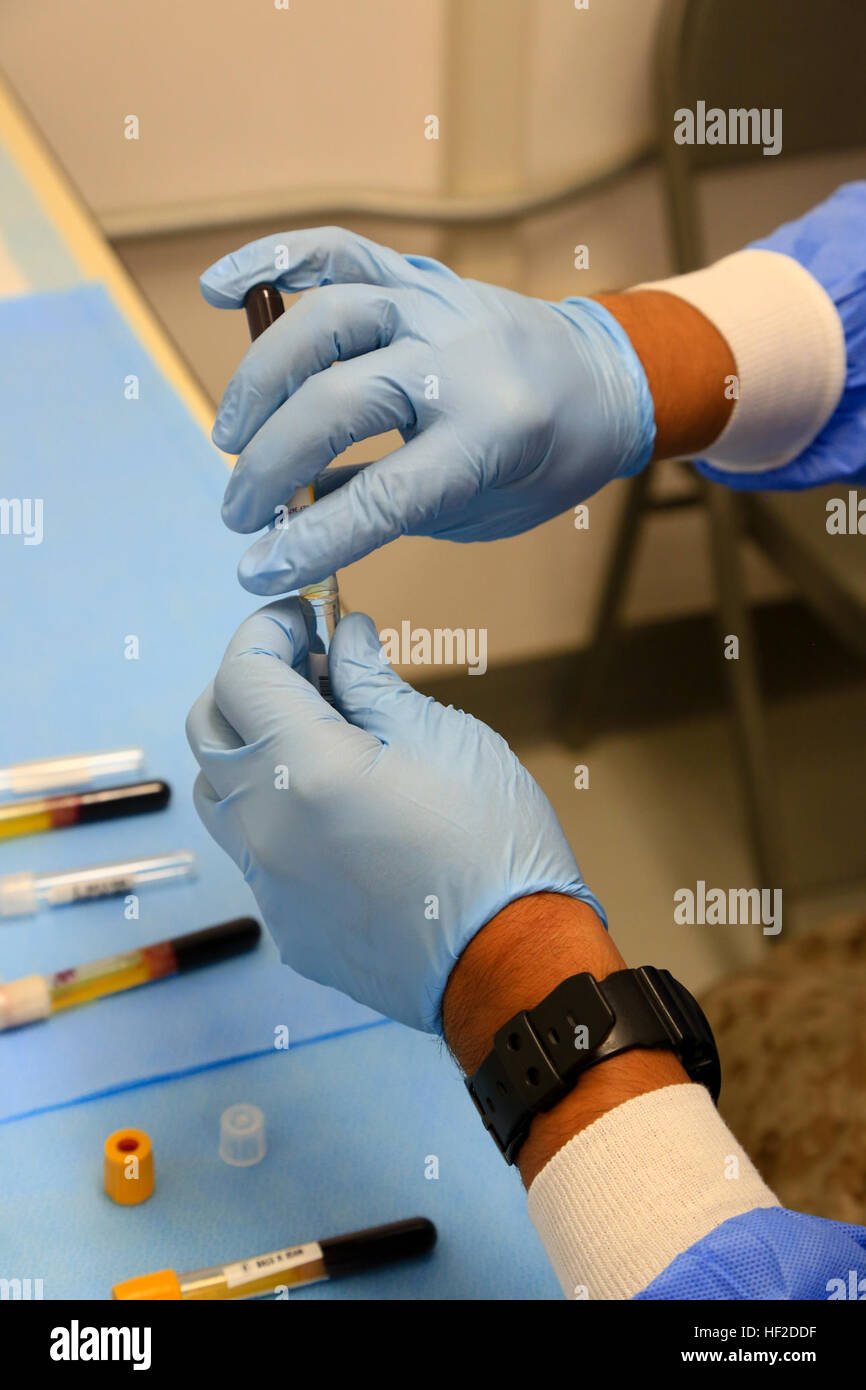 U.S. Navy Hospitalman 3rd Class Wudineh Melketsadek, a field medical ...