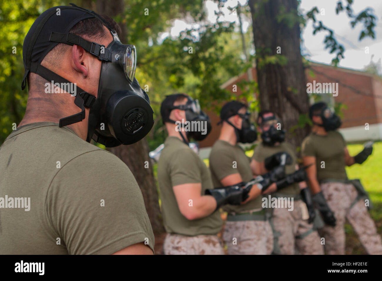 U.S. Marines with 2d Marine Logistics Group (2D MLG) participate in ...