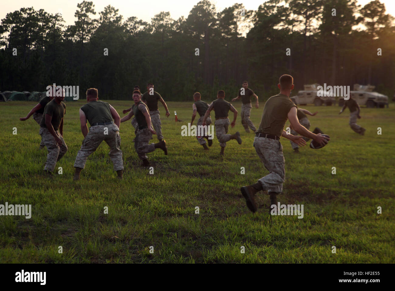 Marines with Transportation Support Company, Combat Logistics Battalion ...