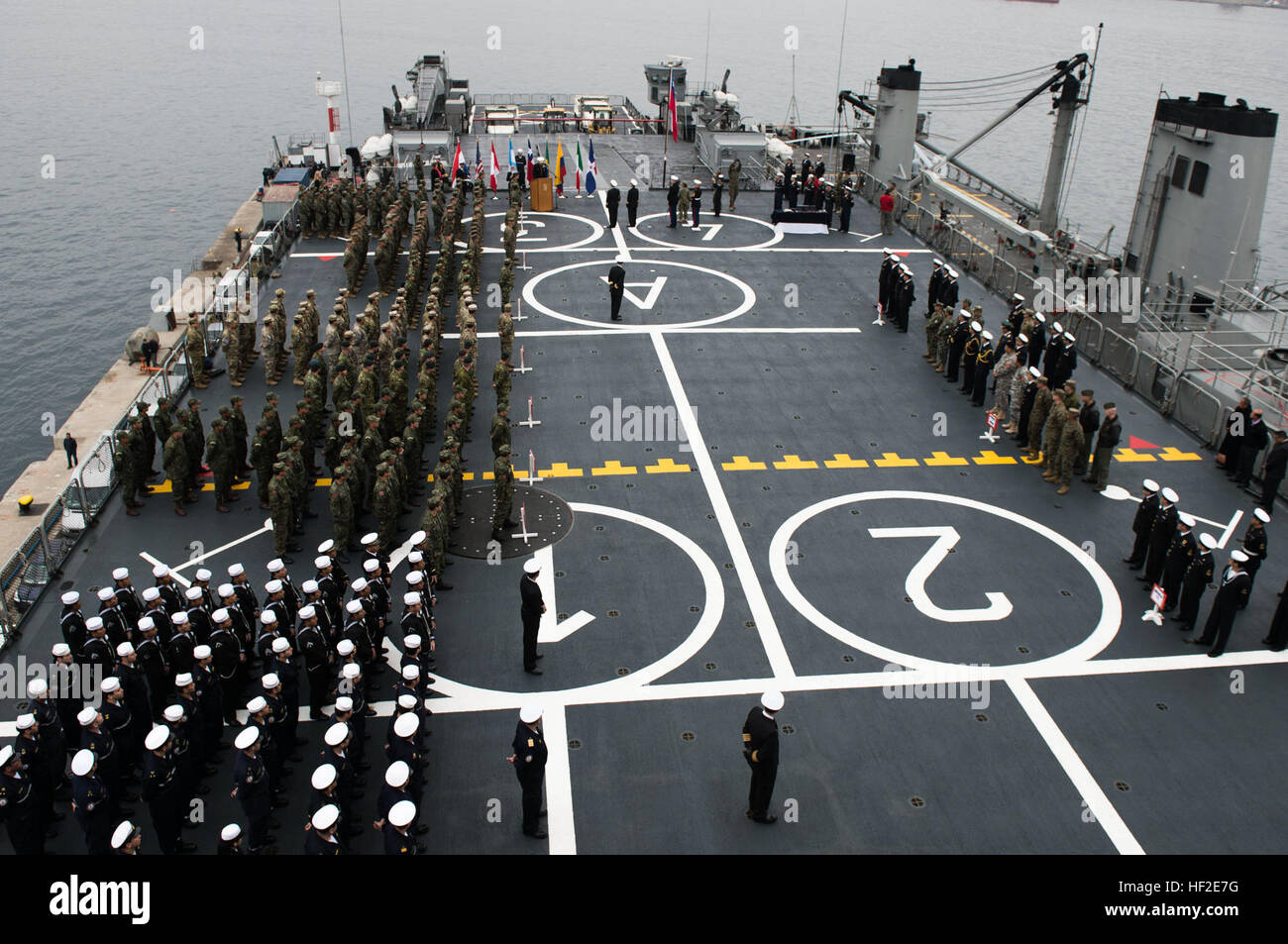 Members of the poa hi-res stock photography and images - Alamy