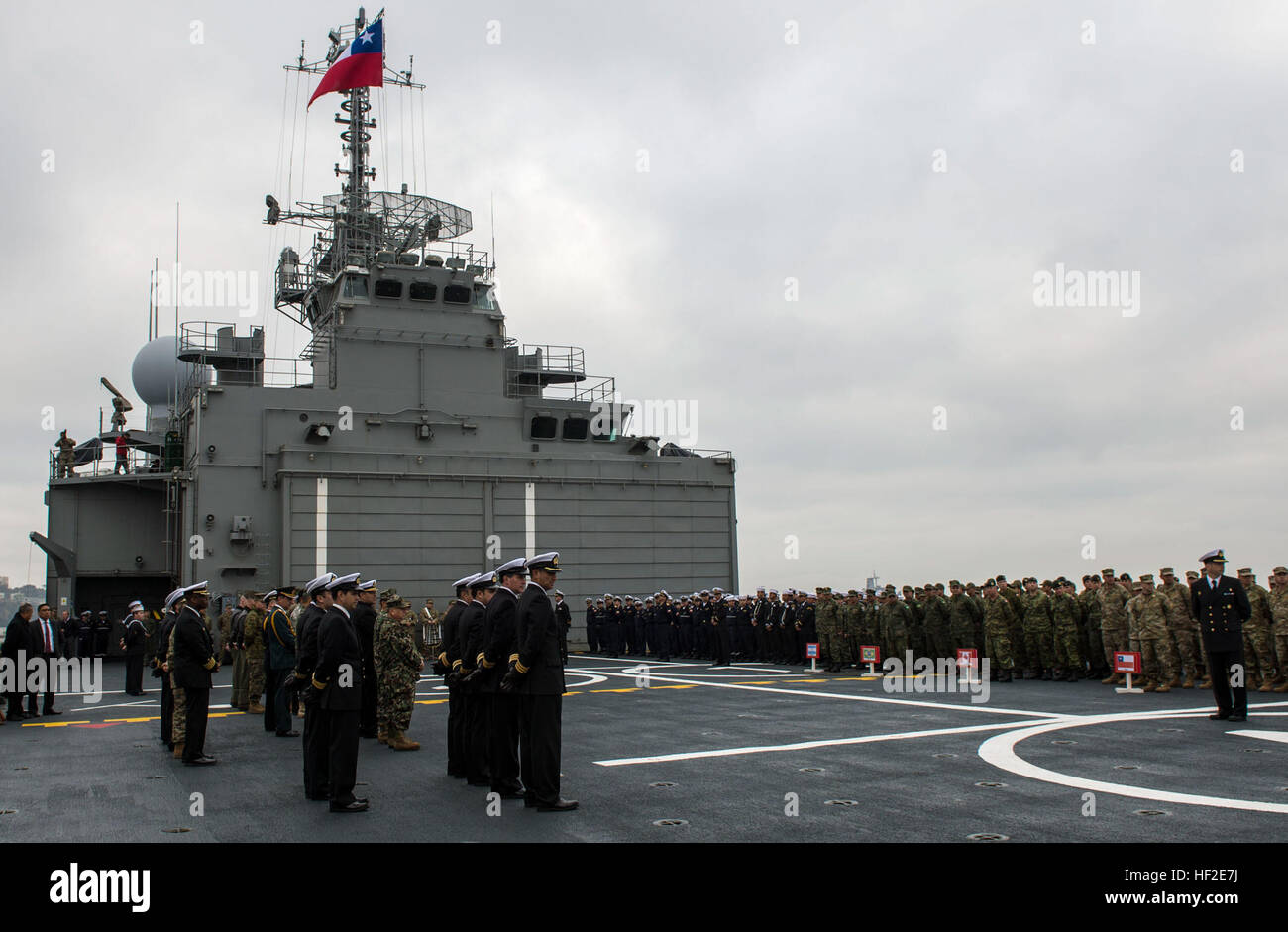 Members of the poa hi-res stock photography and images - Alamy