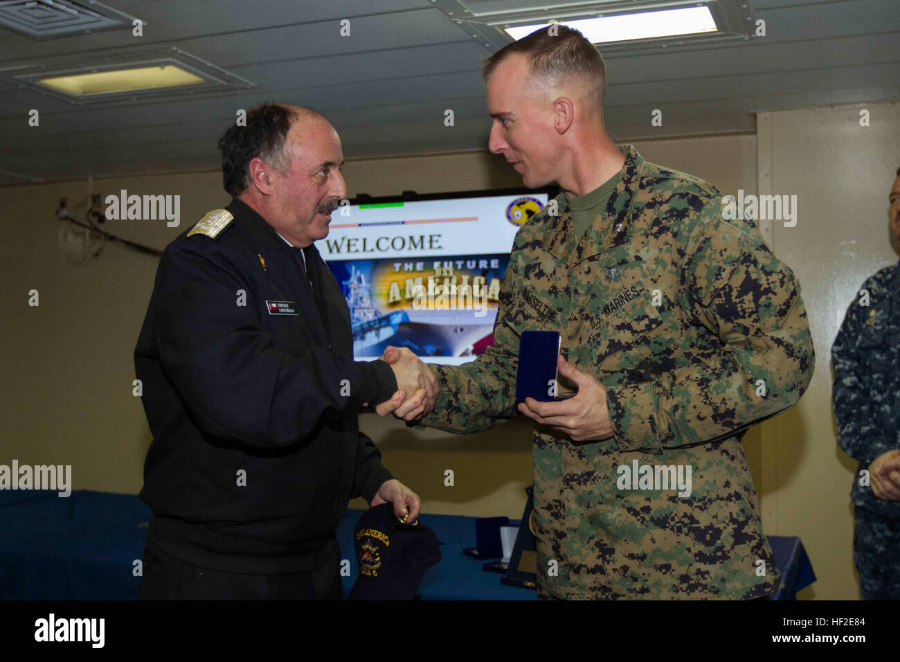 Lieutenant col commanding officer marine hi-res stock photography and ...