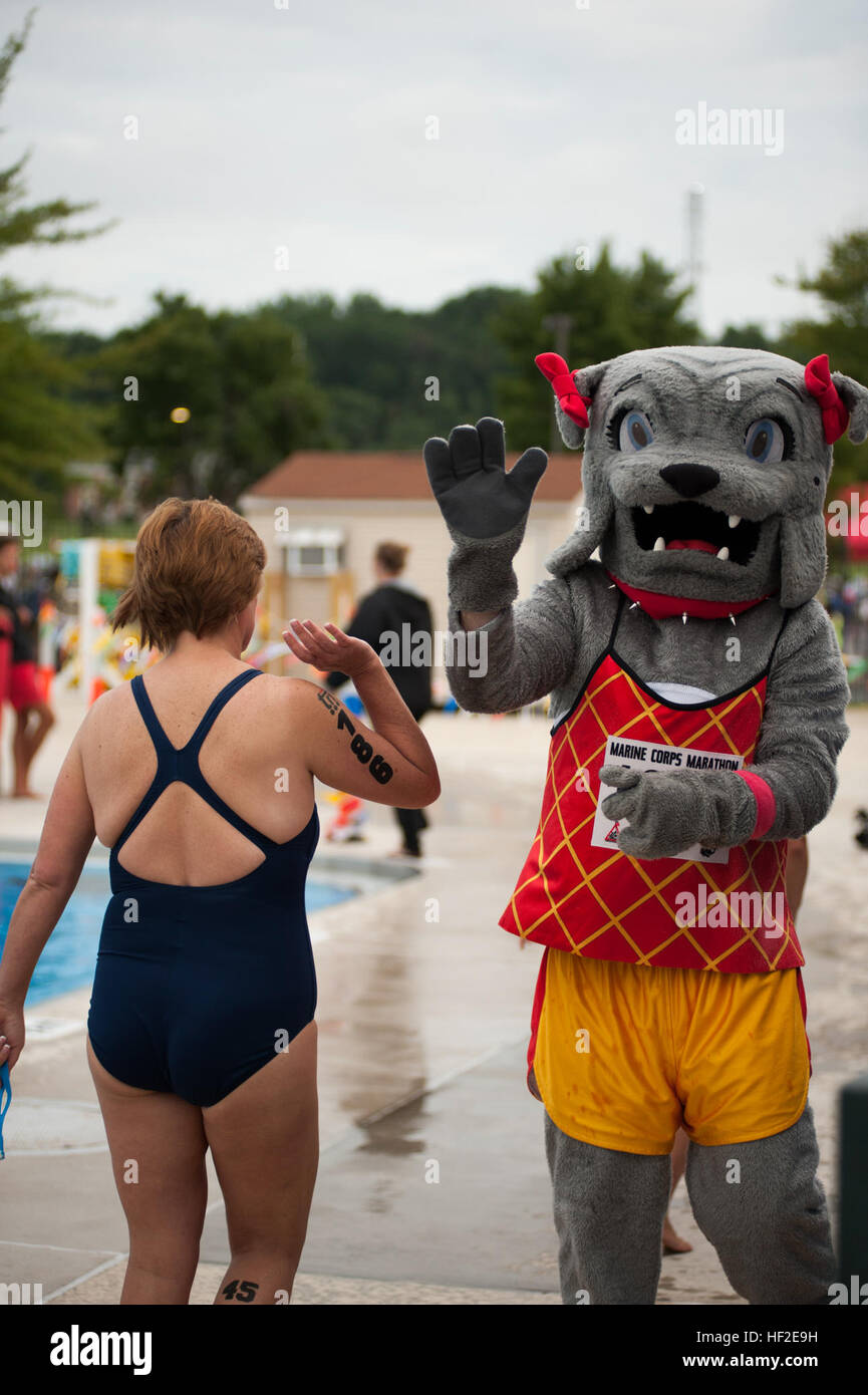 A contestant greets Molly, one of the Marine Corps Marathon event ...