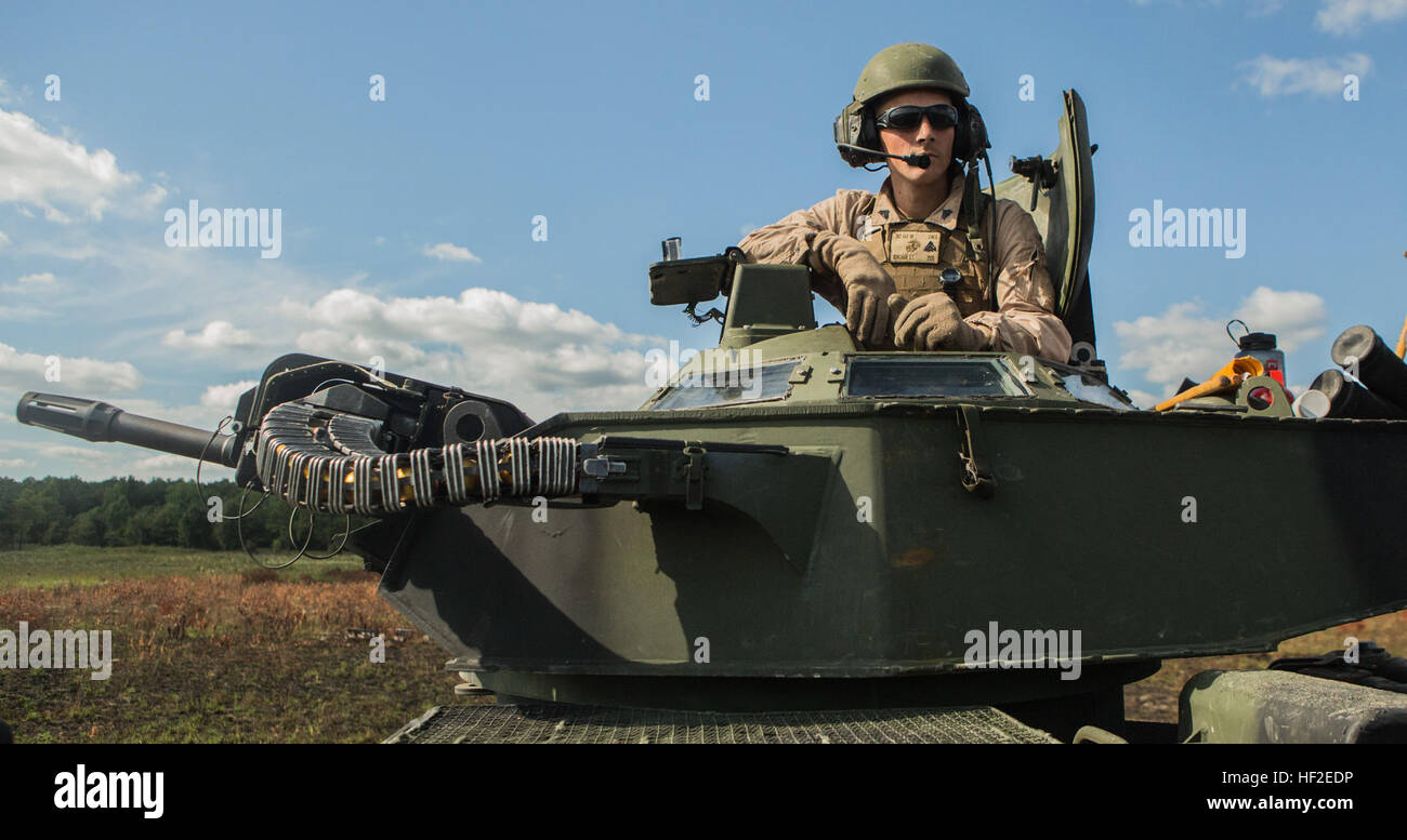 Cpl. Earl Burcham, AAV7A1 tracked vehicle Crew Chief, sits atop the ...