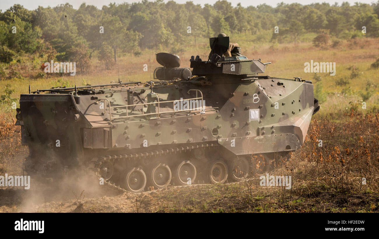Marines with Alpha Company, 2nd Assault Amphibian Battalion, 2nd Marine ...