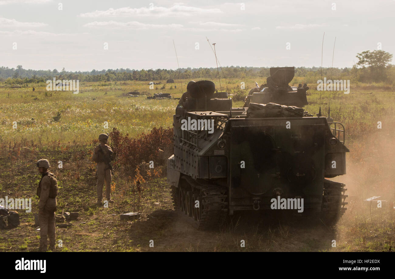 Marines with Alpha Company, 2nd Assault Amphibian Battalion, 2nd Marine ...