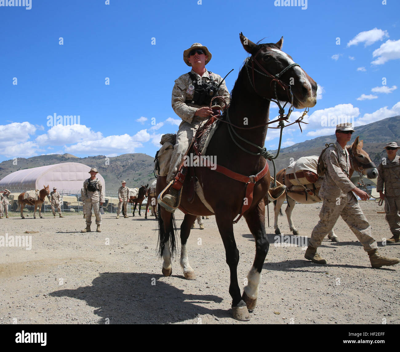 United states marine corps 1st marine division schools hi-res stock ...
