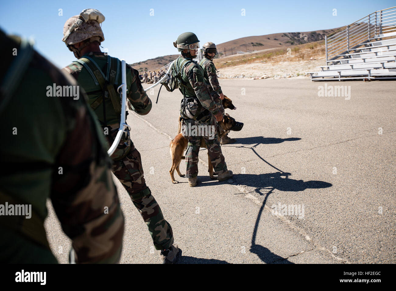 U.S. Marine working dog Nero and his Special Operations handler with ...