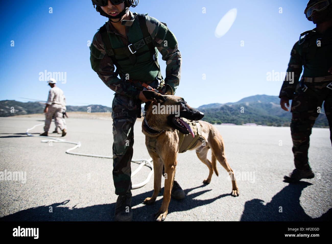U.S. Marine working dog Arco and his Special Operations handler with ...