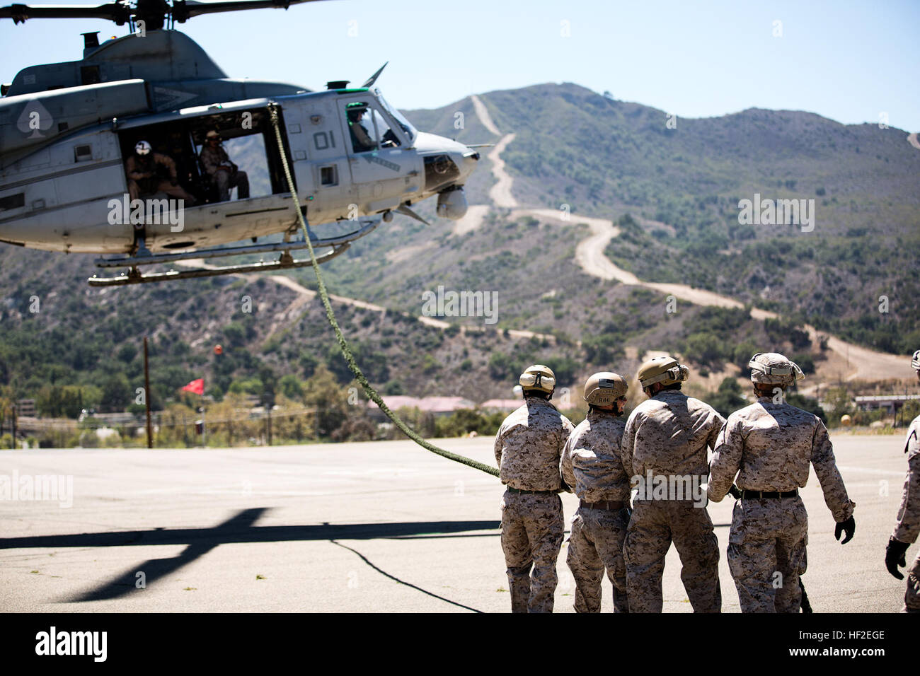 Alpha Fast Company High Resolution Stock Photography and Images - Alamy