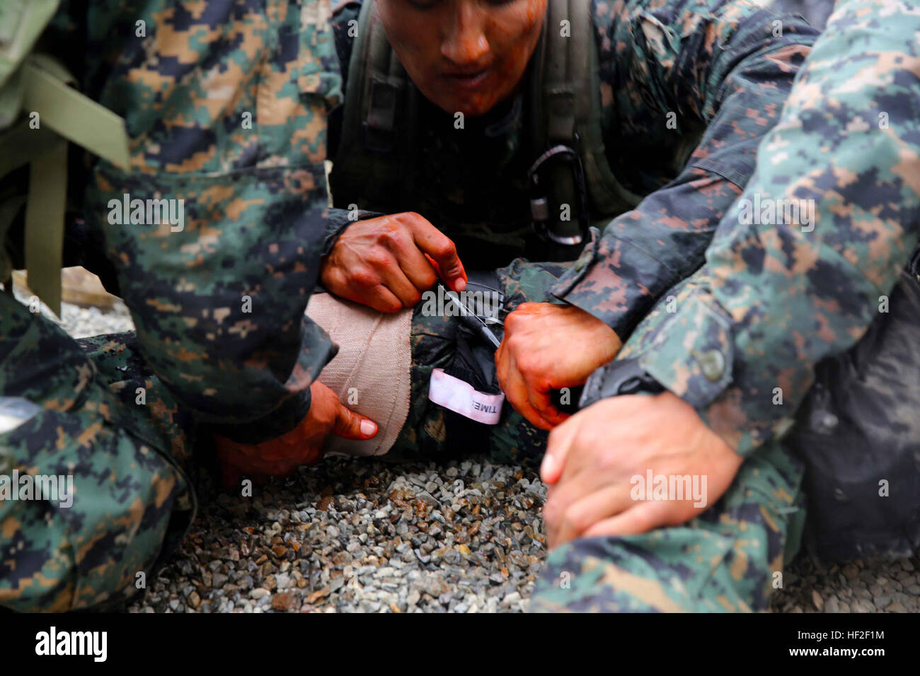 Peruvian Marines apply a tourniquet to a simulated casualty for the final exercise of a Combat ...