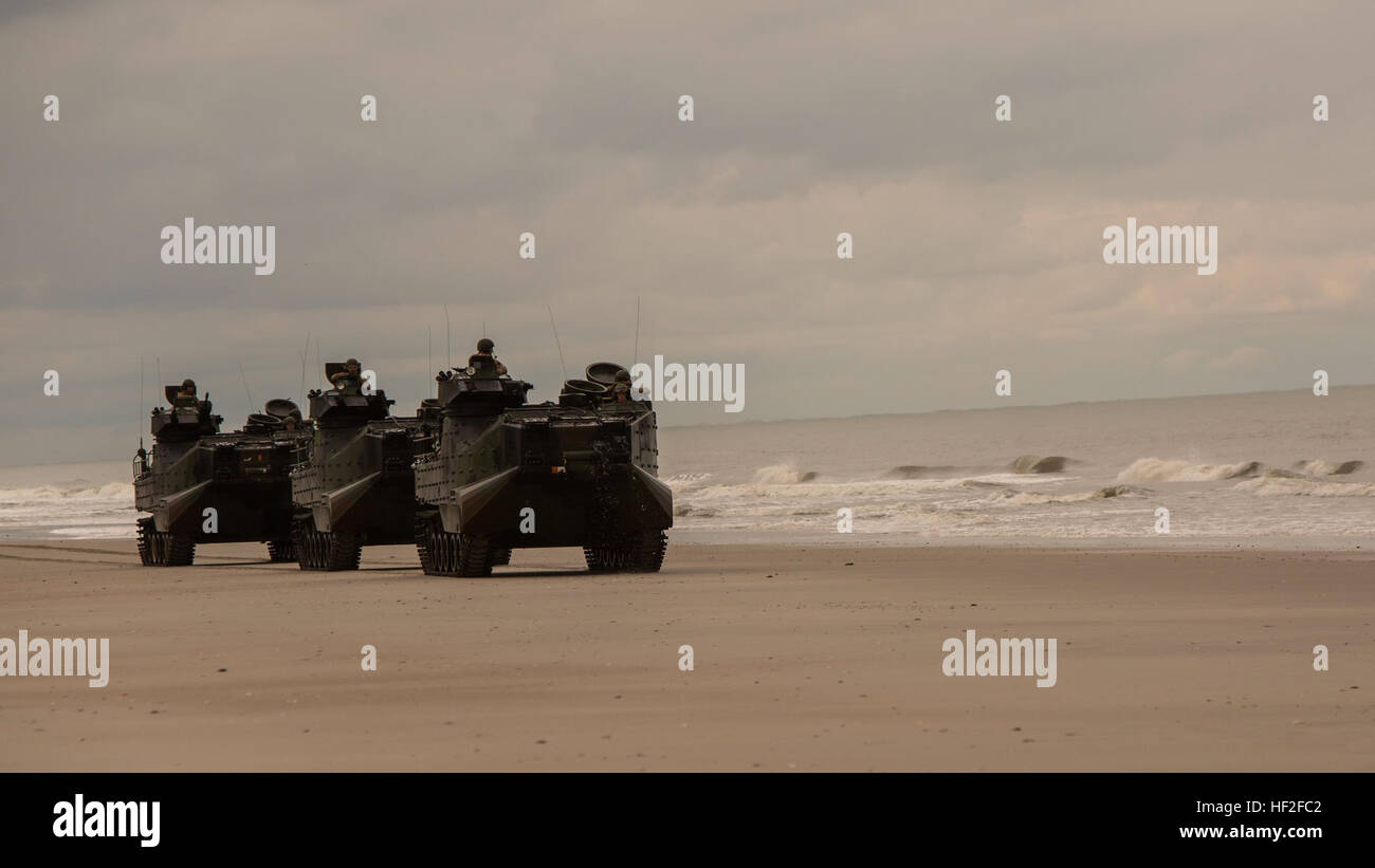 Marines with Alpha Company, 2nd Assault Amphibian Battalion, 2nd Marine ...