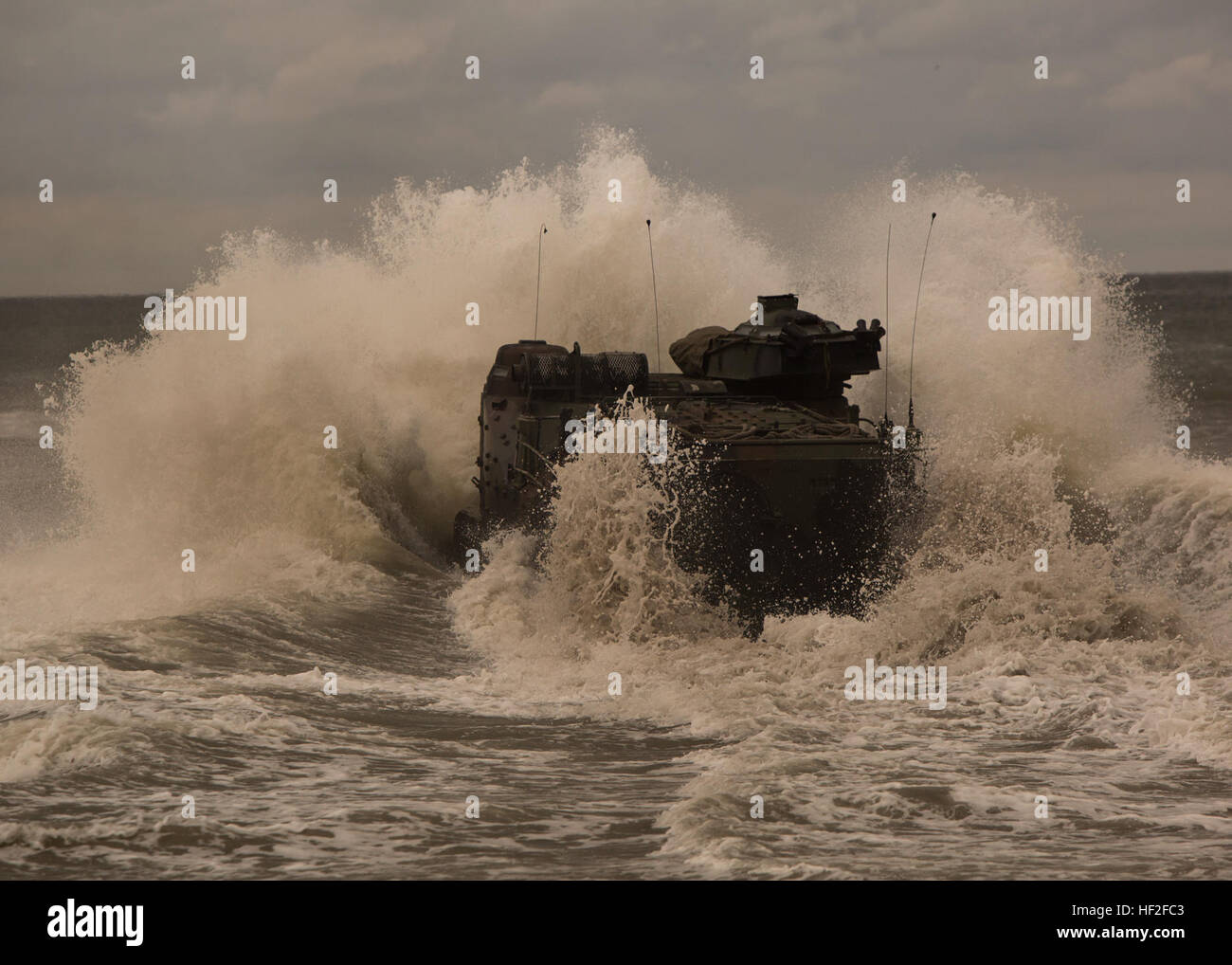 Marines with Alpha Company, 2nd Assault Amphibian Battalion, 2nd Marine ...