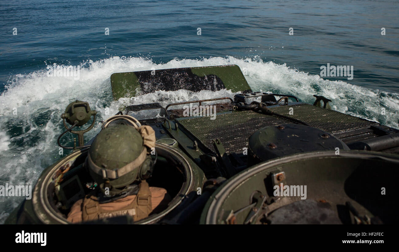 U s marine corps released aav gator marines tracks hi-res stock ...