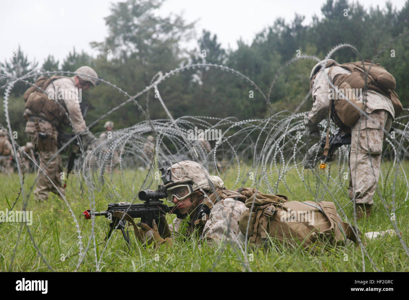 U.S. Marines with Bravo Fleet Antiterrorism Security Team, Marine Corps ...