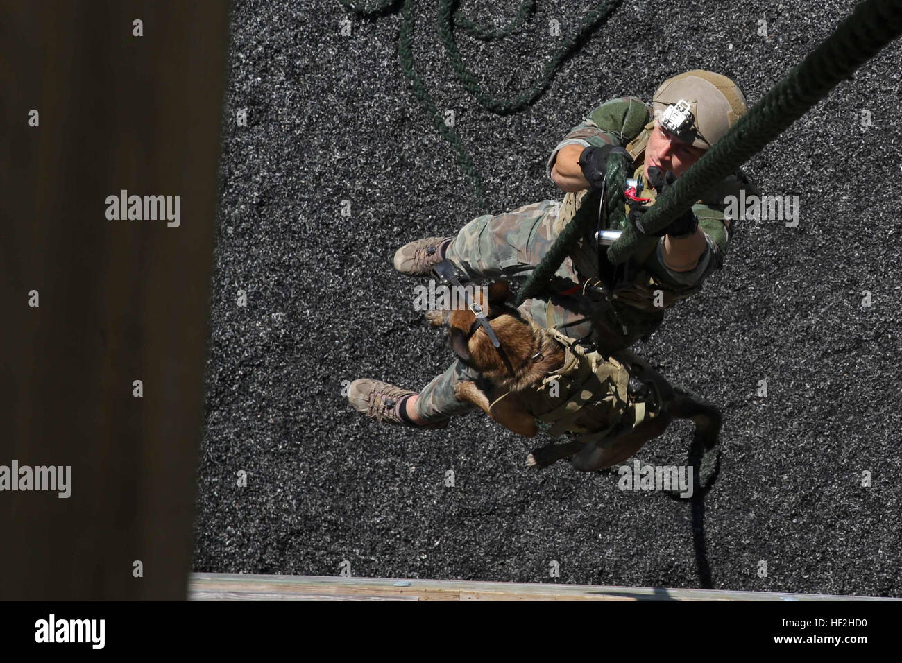 A Multi-Purpose Canine handler, with U.S. Marine Corps Forces Special ...
