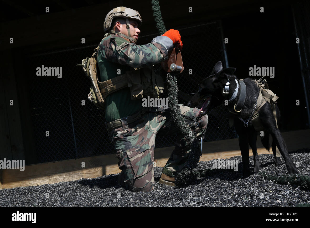 A Multi-Purpose Canine handler, with U.S. Marine Corps Forces Special ...