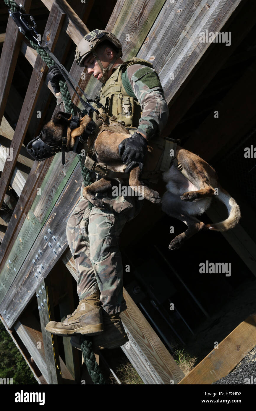 A Multi-Purpose Canine handler, with U.S. Marine Corps Forces Special ...