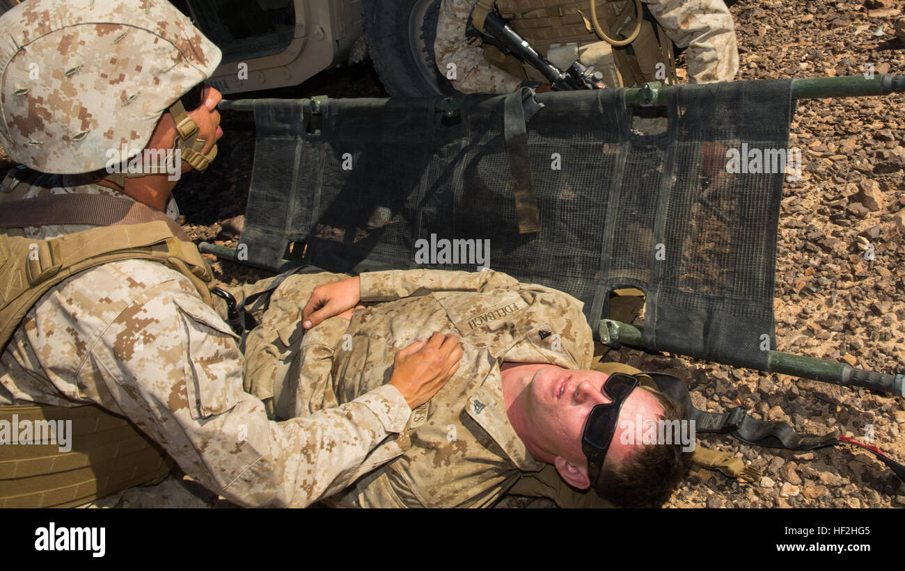 Ied training with 3 3 motor t hi-res stock photography and images - Alamy