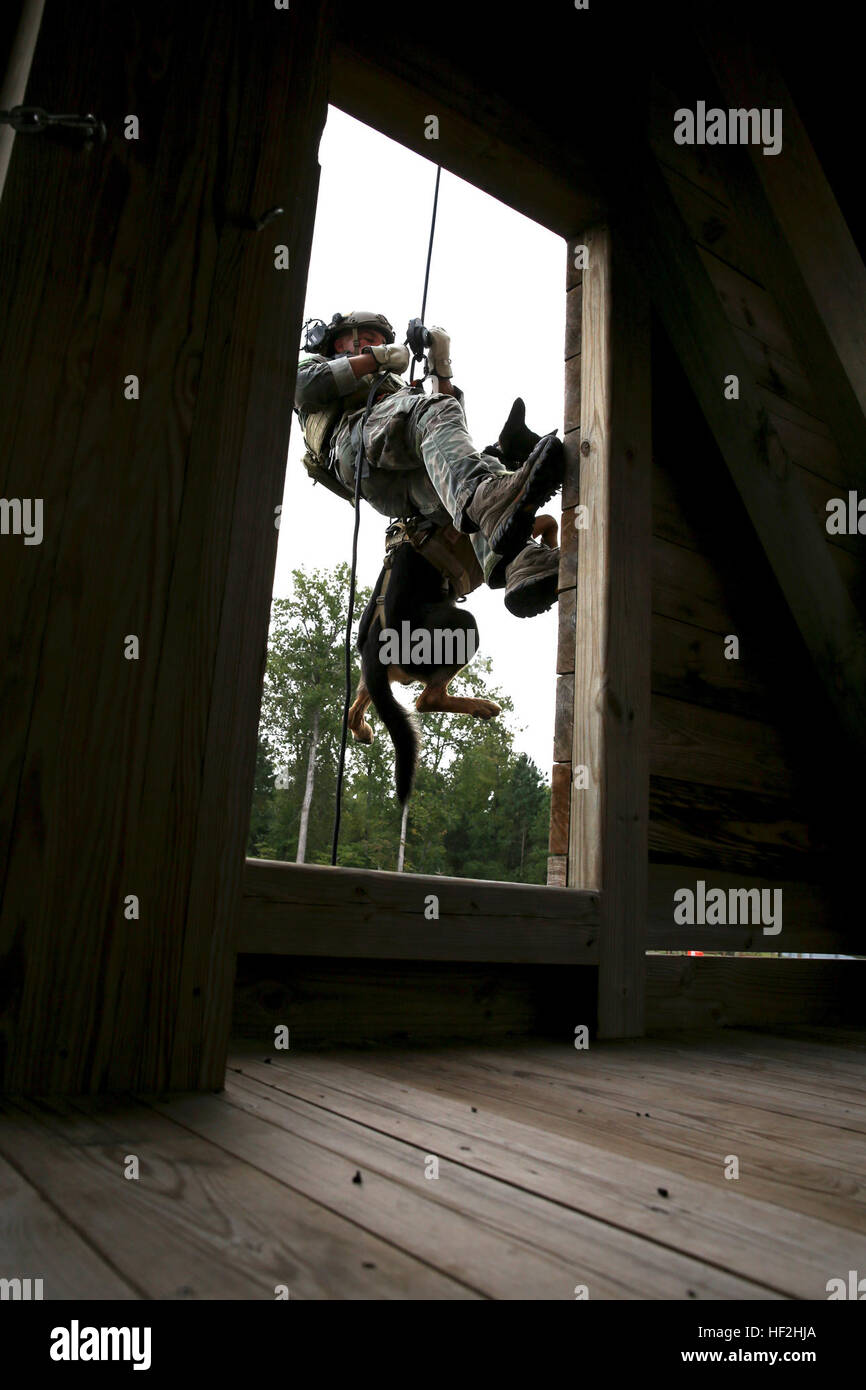 A Multi-Purpose Canine handler, with U.S. Marine Corps Forces Special ...