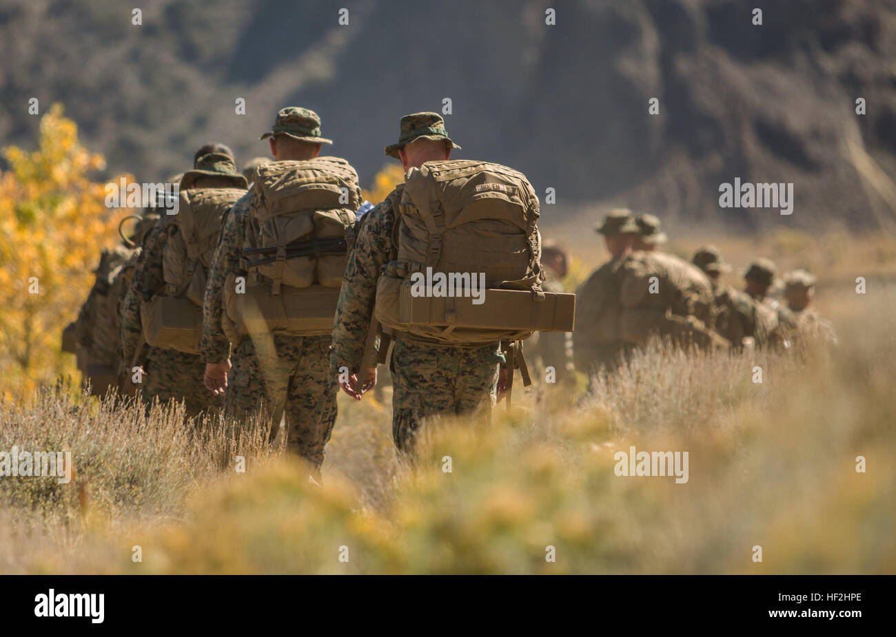 U.S. Marines with Combat Logistics Battalion 6 (CLB-6), Combat ...