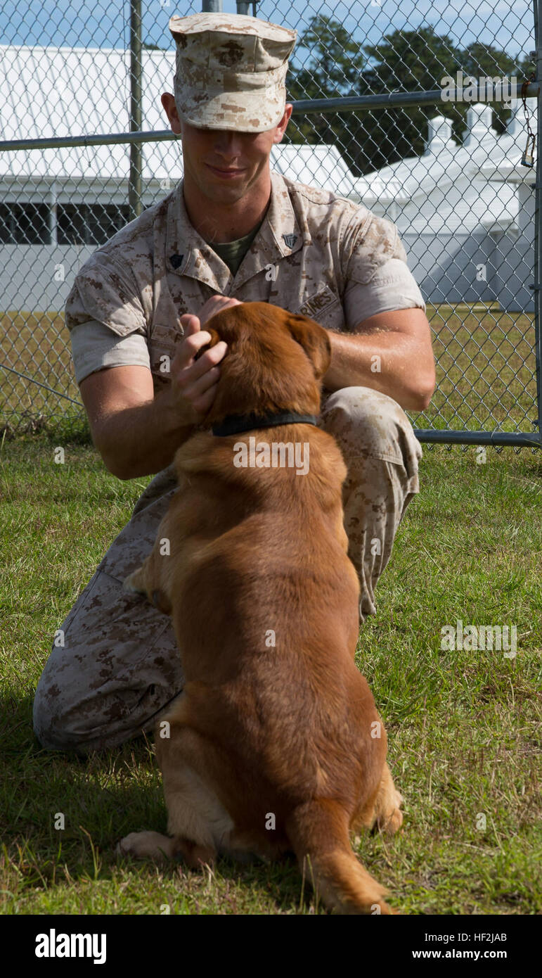 Sgt. Kent Ferrell, a specialized search dog handler with Military ...