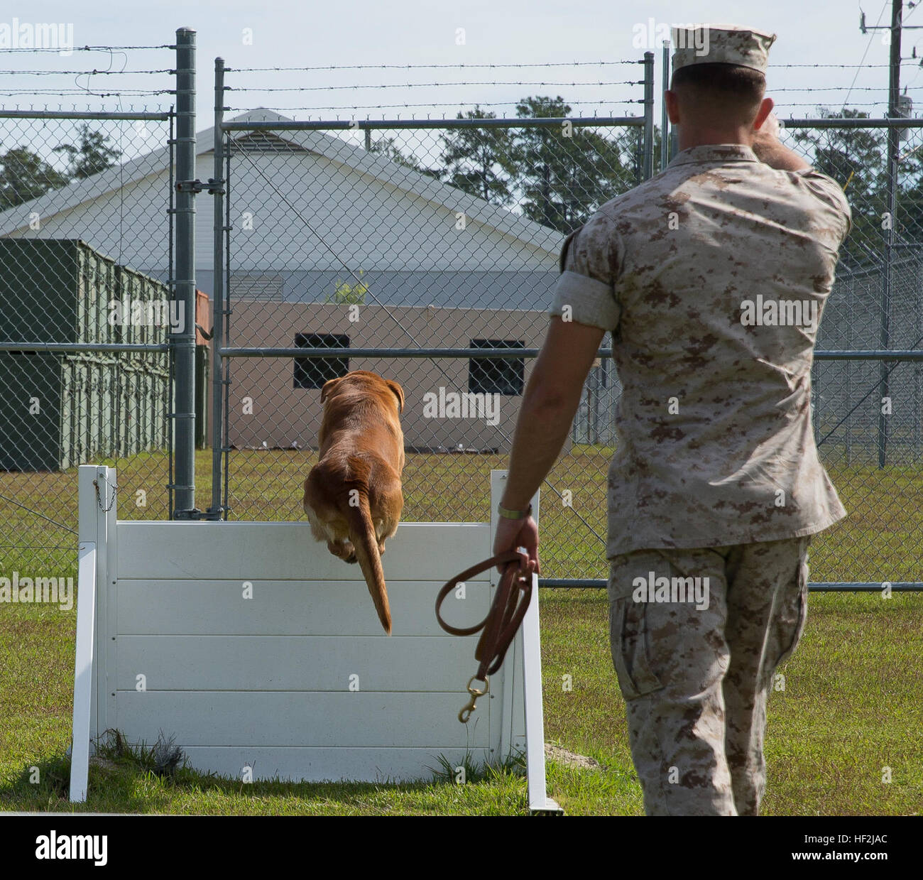 Sgt. Kent Ferrell, a specialized search dog handler with Military ...