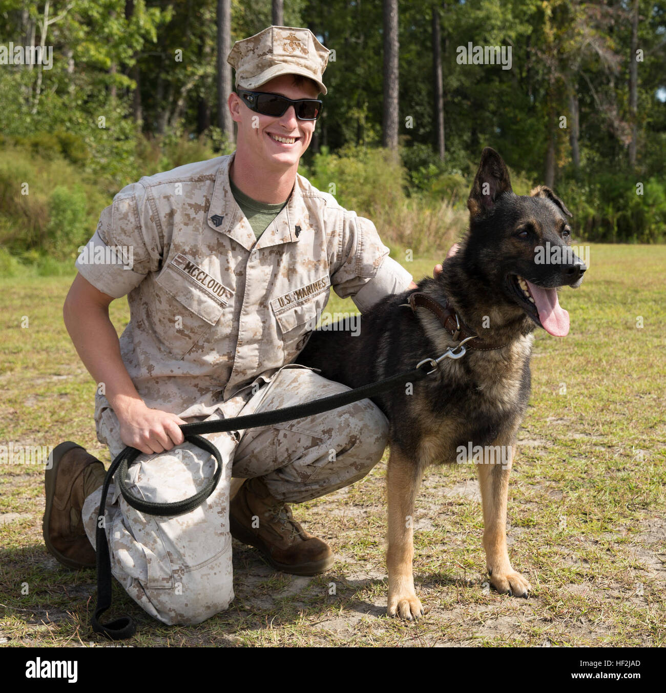 Military Working Dog Handler High Resolution Stock Photography and ...