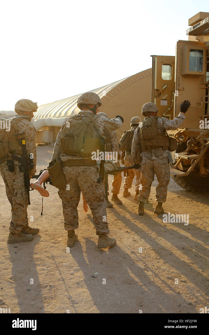 Marines with Combat Logistics Battalion 11, 11th Marine Expeditionary ...