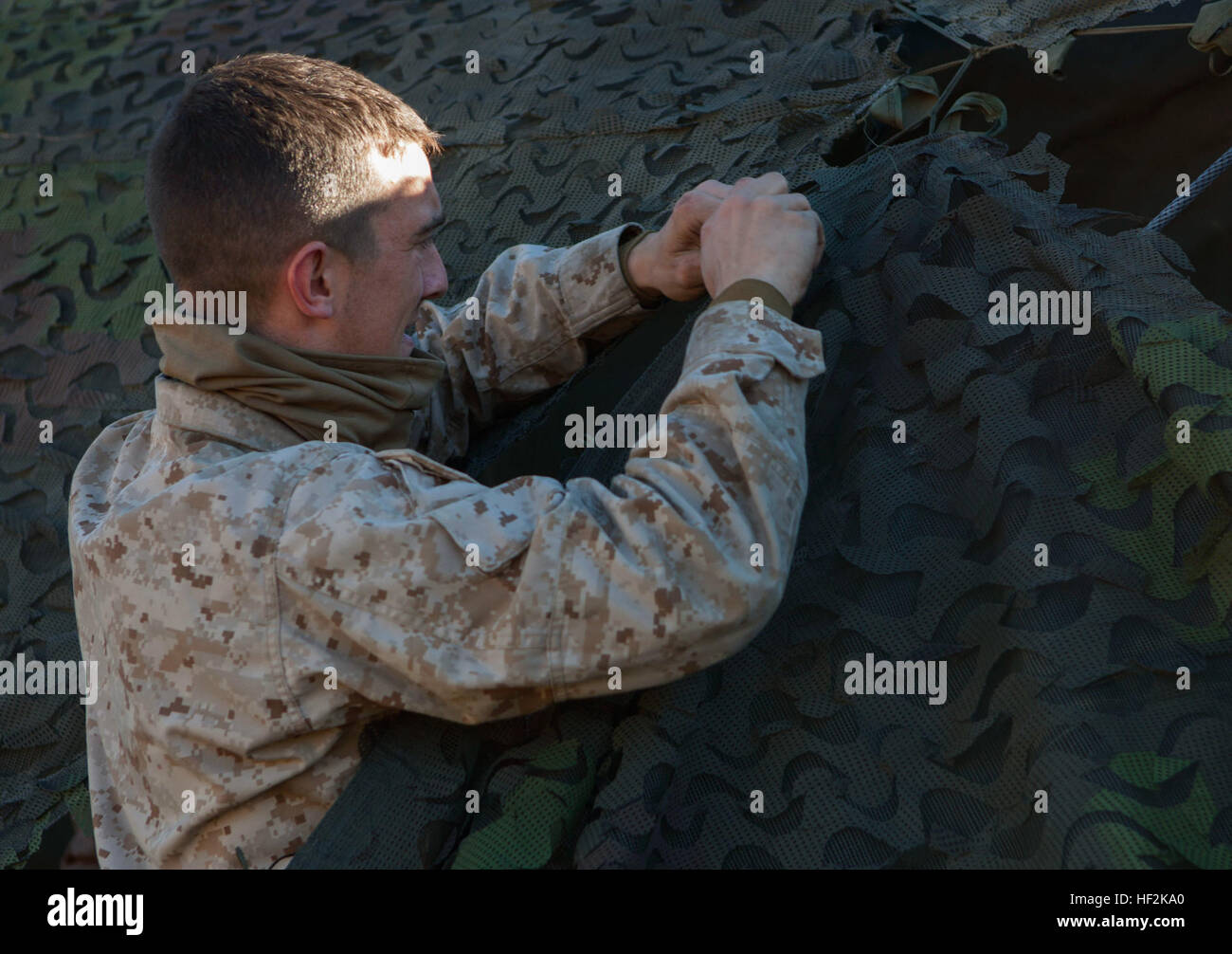 U.S. Marine Corps Private First Class Carpenter Austin L. with 2nd ...