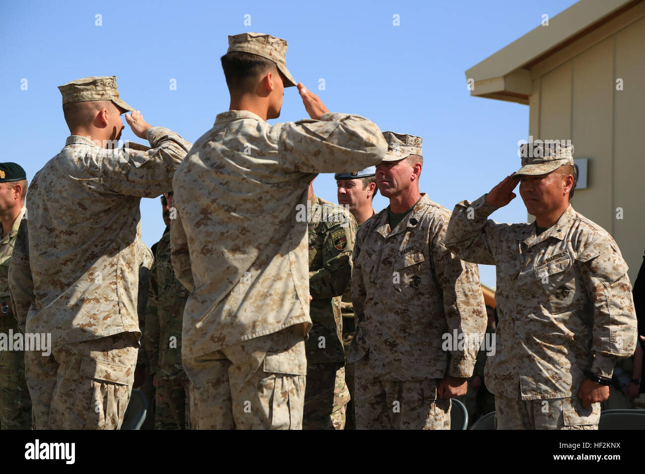 Daniel yoo hi-res stock photography and images - Alamy