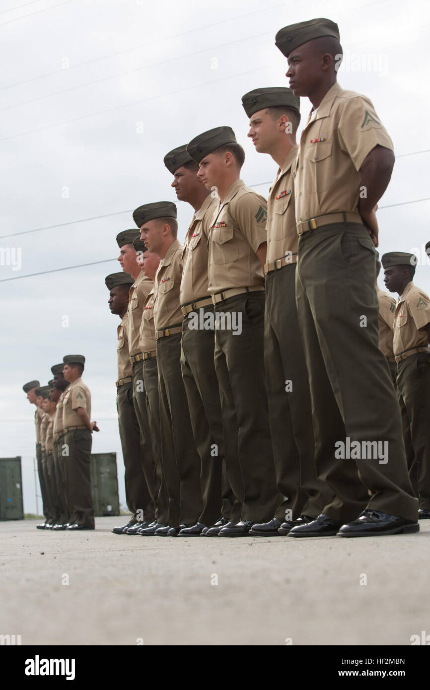 Marines with 1st Air Naval Gunfire Liaison Company, I Marine ...