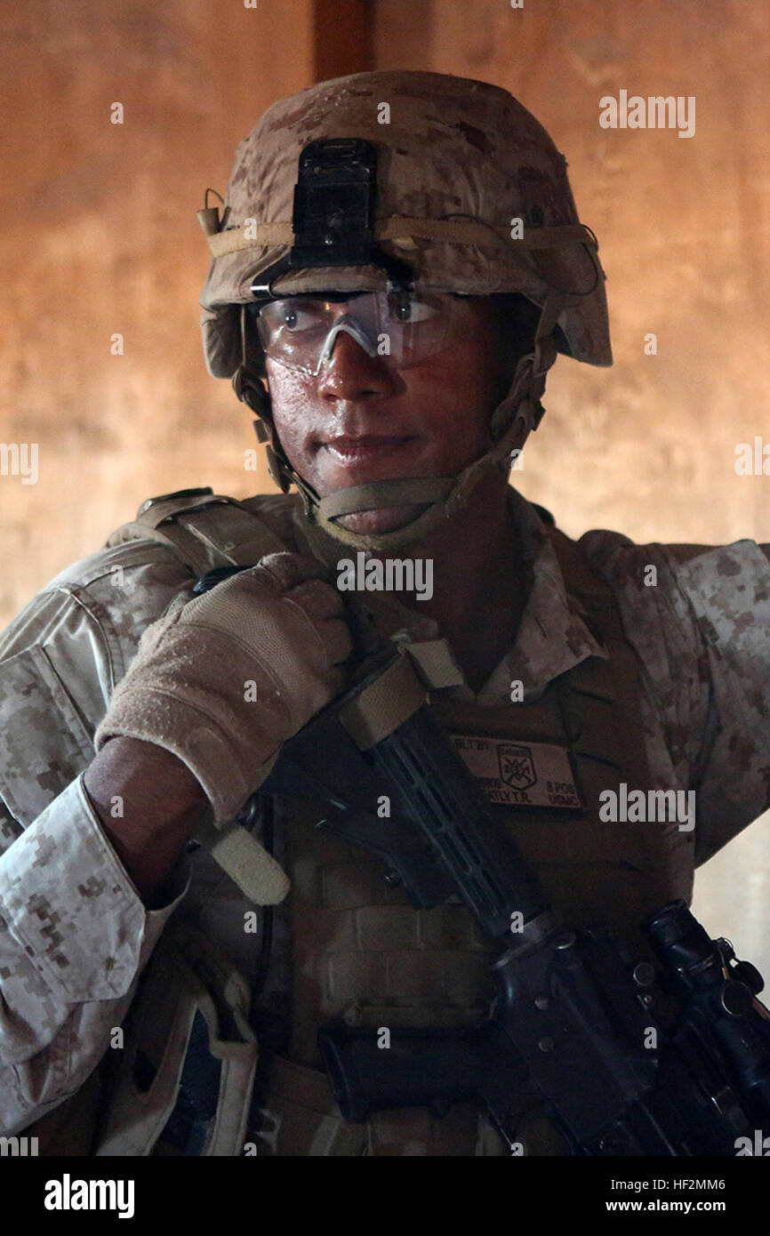 Sgt. Travis Wheatly, a section leader with combined anti-armor team ...