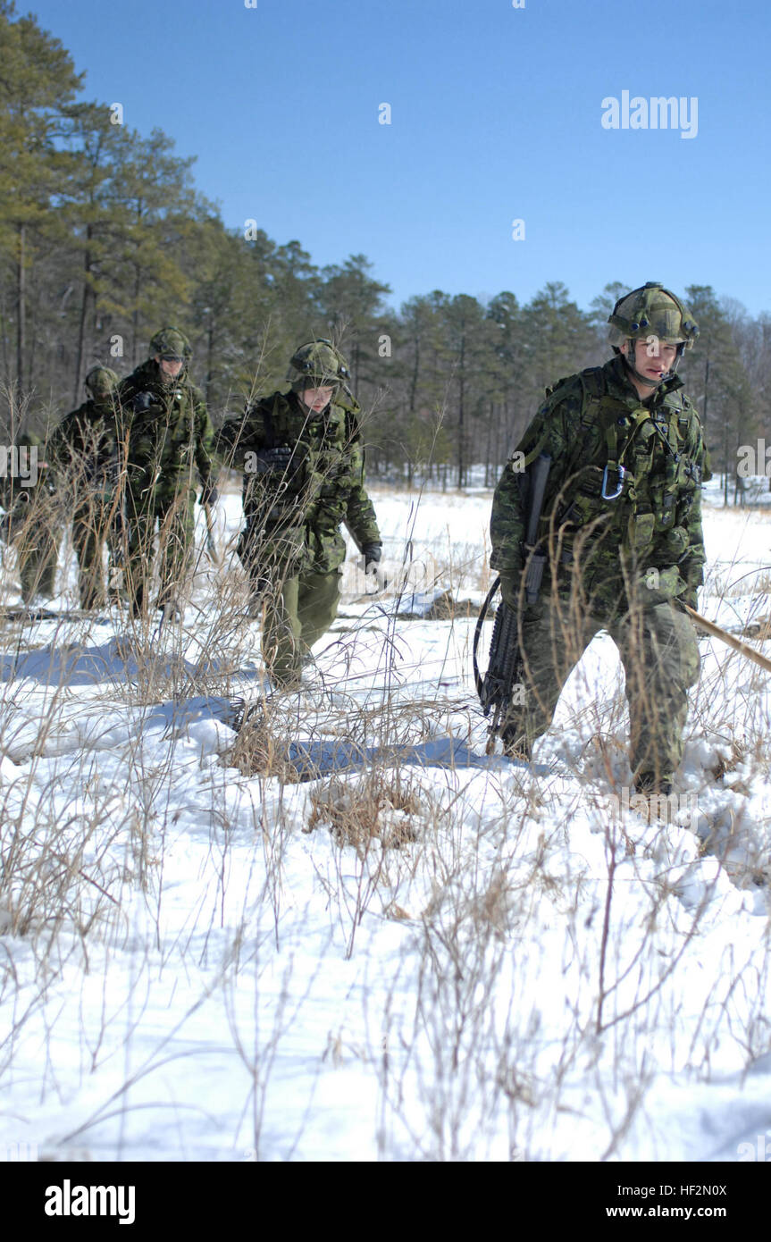 Soldiers of 2nd Battalion, The Royal Newfoundland Regiment, 37 Canadian ...