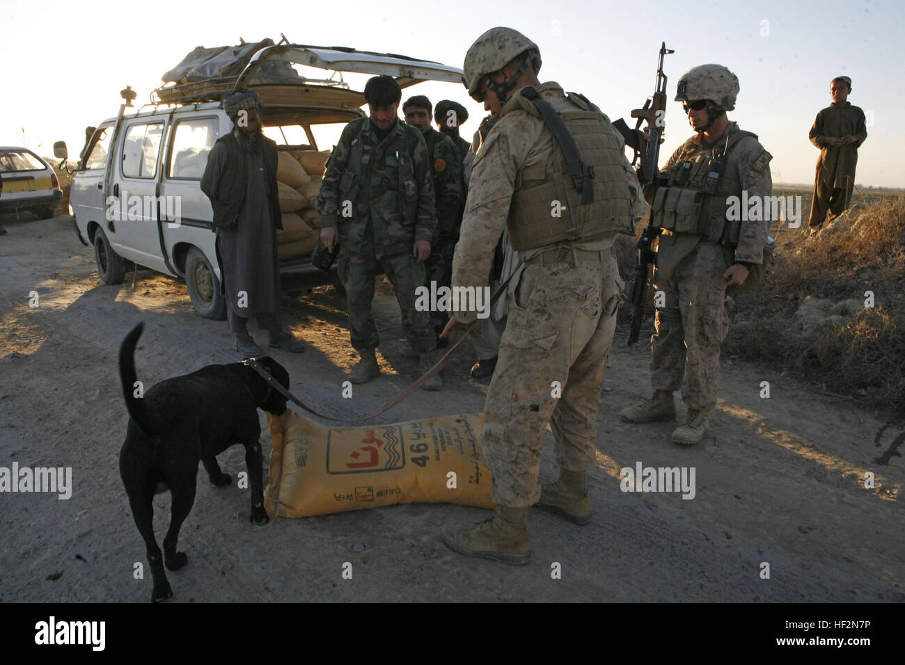 A dog handler and combat engineer with combat engineer battalion hi-res ...