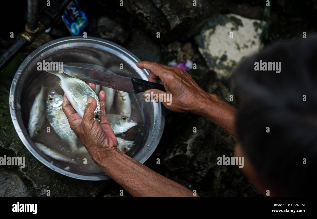 A Filipino woman prepares fish to be cooked outside of her makeshift ...