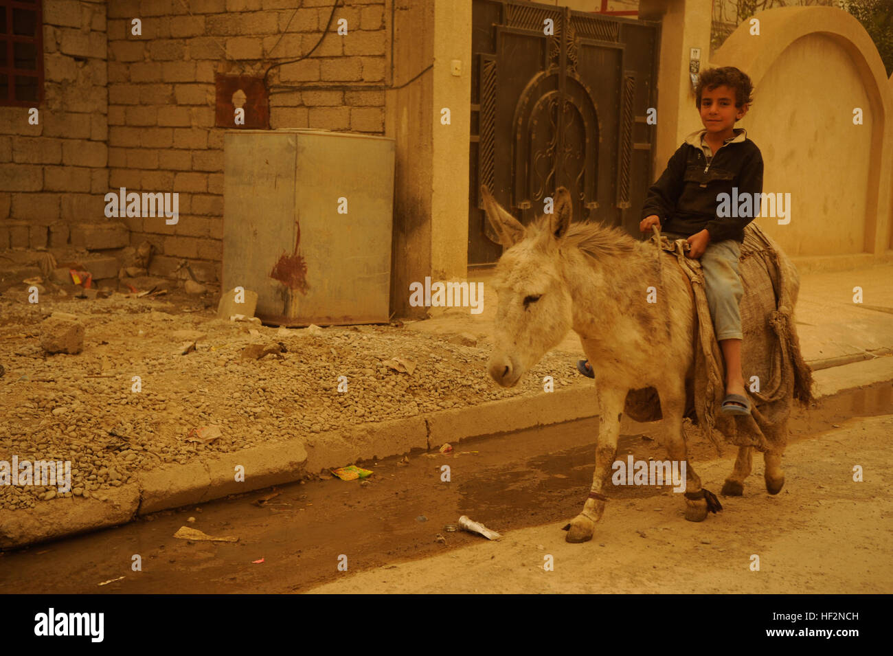 An Iraqi boy rides a donkey through the 7 Nissan neighborhood of Mosul ...
