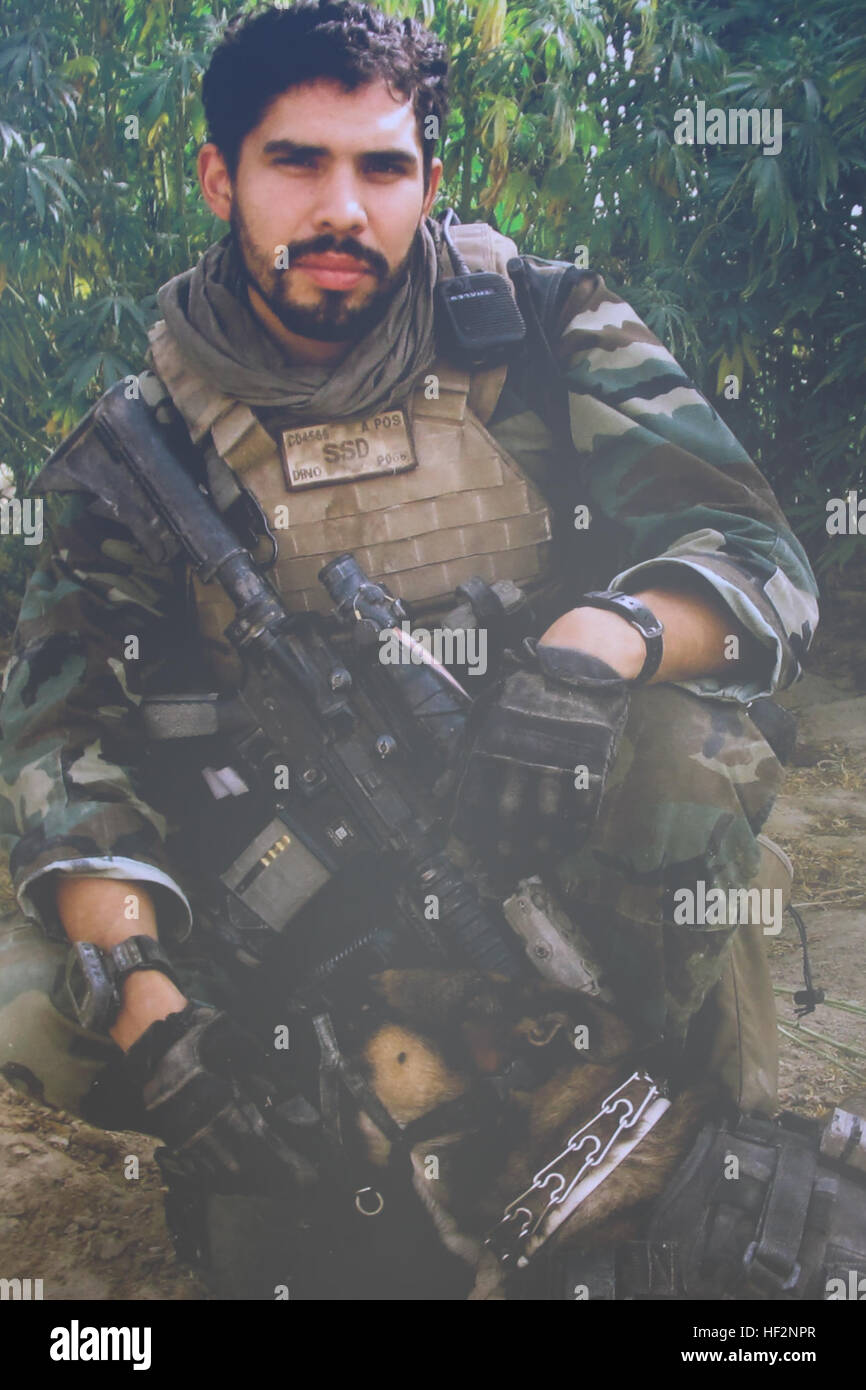 Navy and marines medal with combat device hi-res stock photography and ...