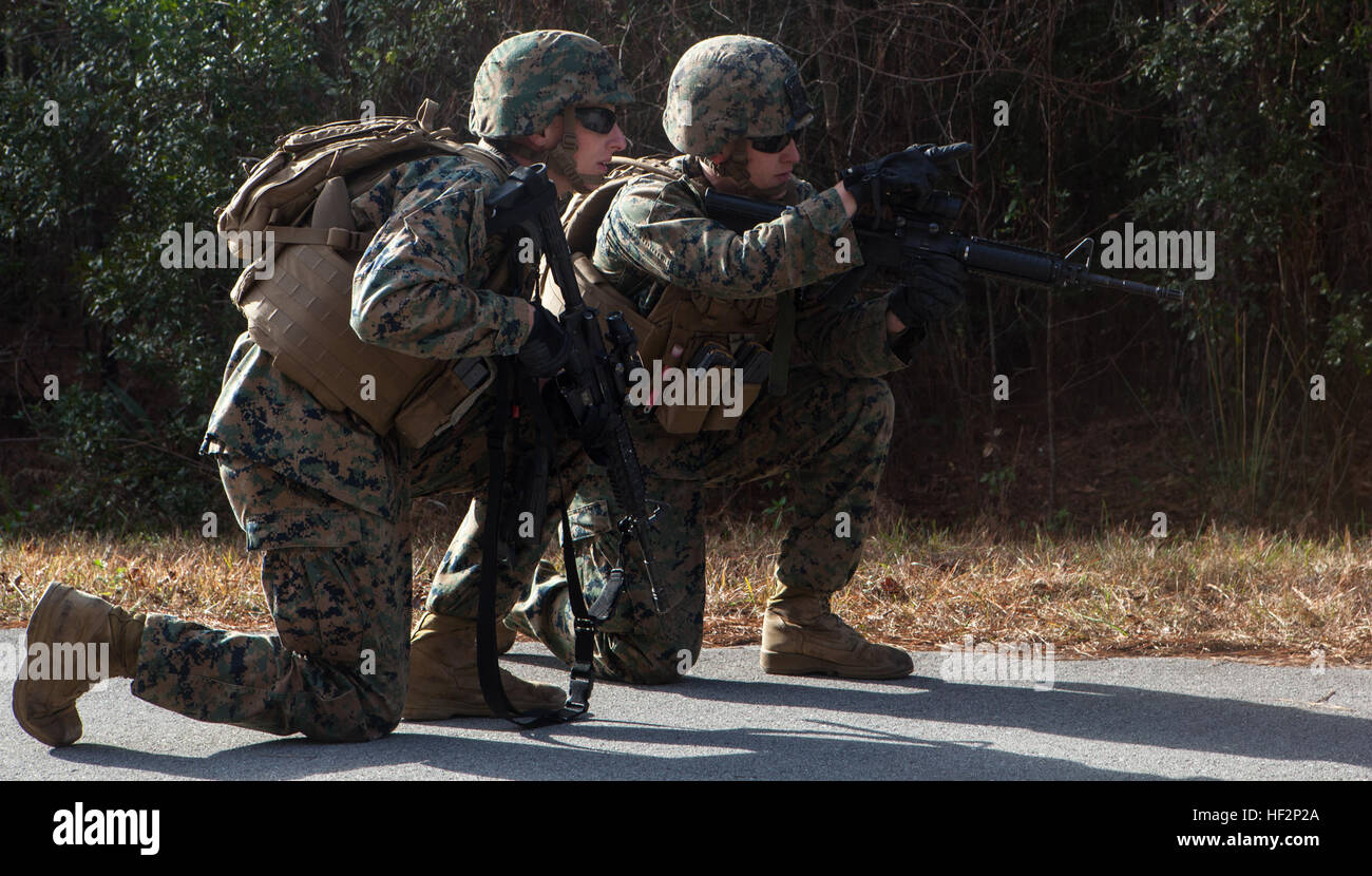 Two Marines with Alpha Company, 2nd Transportation Support Battalion ...