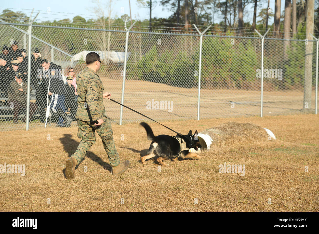 Cpl. David Alviar, a working dog handler, and his dog Aldo undergo a ...