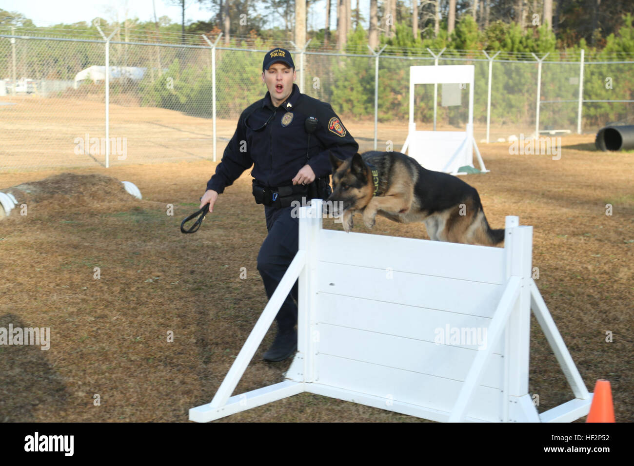 Officer Joshua Smith, a K-9 officer with PMO, runs with his dog through ...