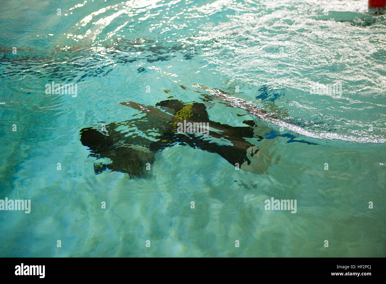 Mcas cherry point personnel hi-res stock photography and images - Alamy