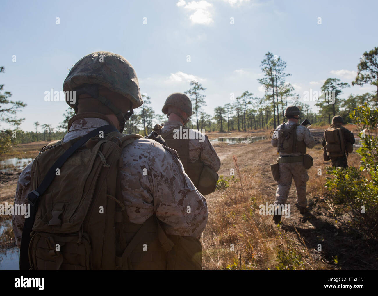 2nd anglico salt hi-res stock photography and images - Alamy