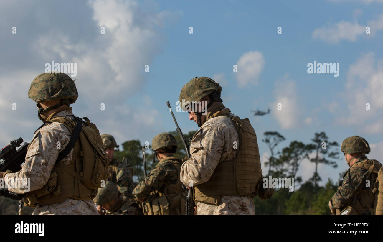 2nd anglico salt hi-res stock photography and images - Alamy