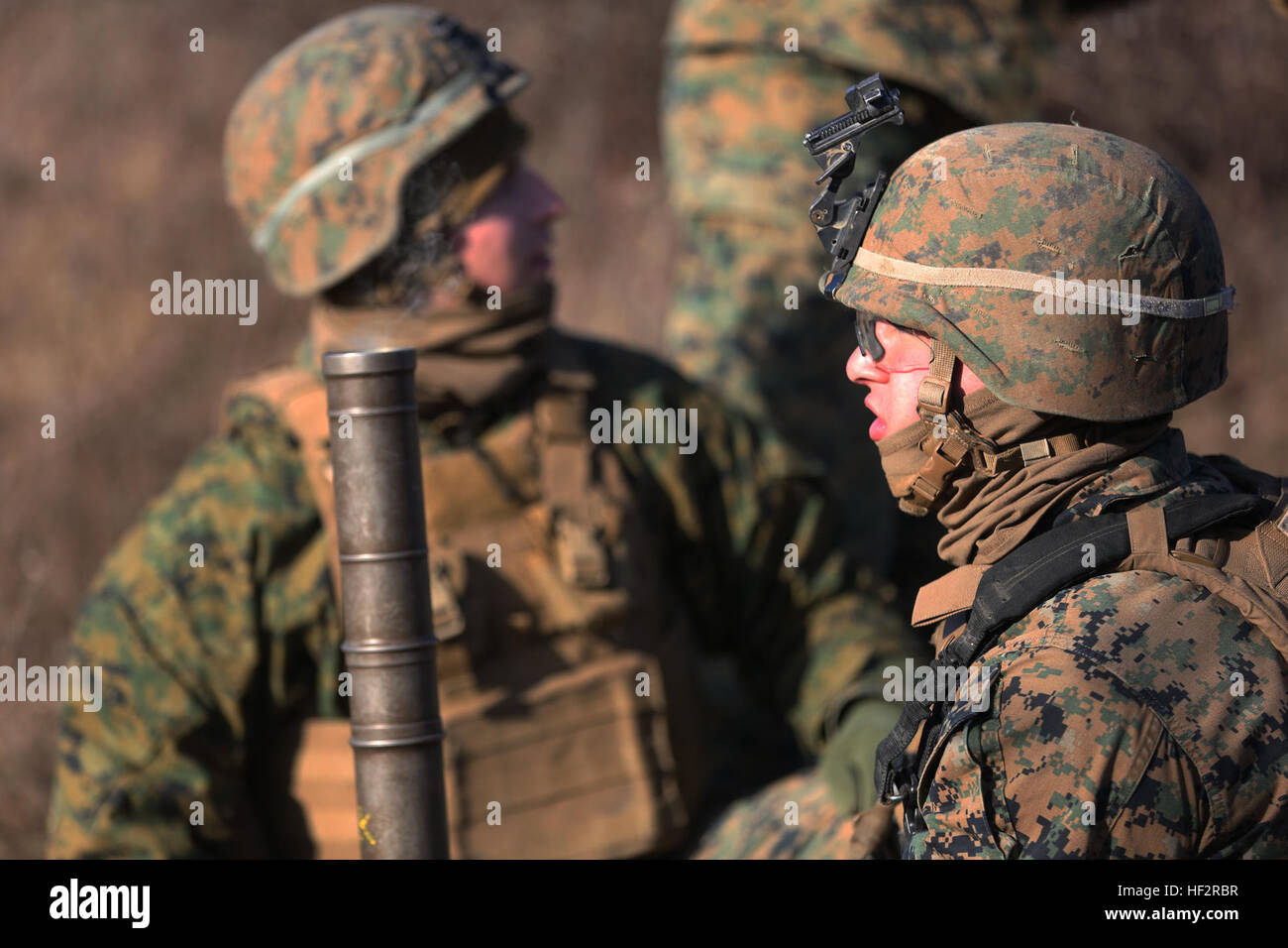 Black Sea Rotational Force Marines with 81mm Mortar Platoon fire high ...