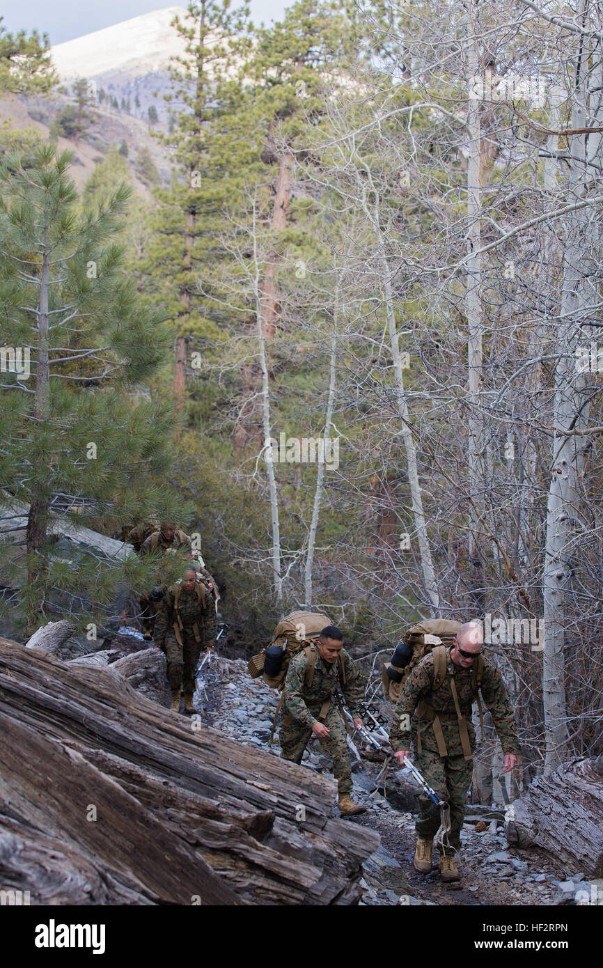 U.S. Marines with Combat Logistics Battalion 26, 2nd Marine Logistics ...