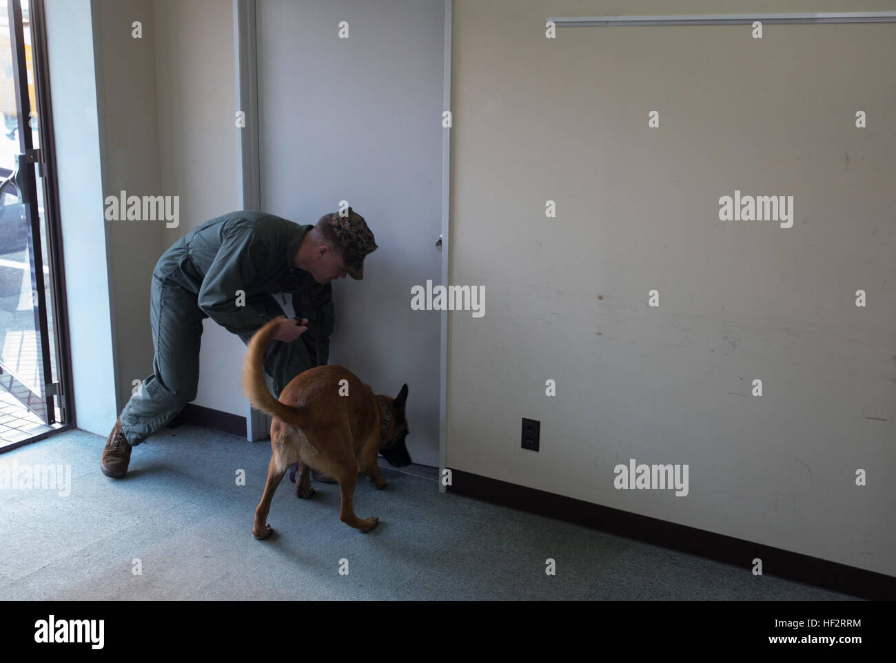 Cpl. Nickolaus Hess, a military working dog handler with the Provost ...