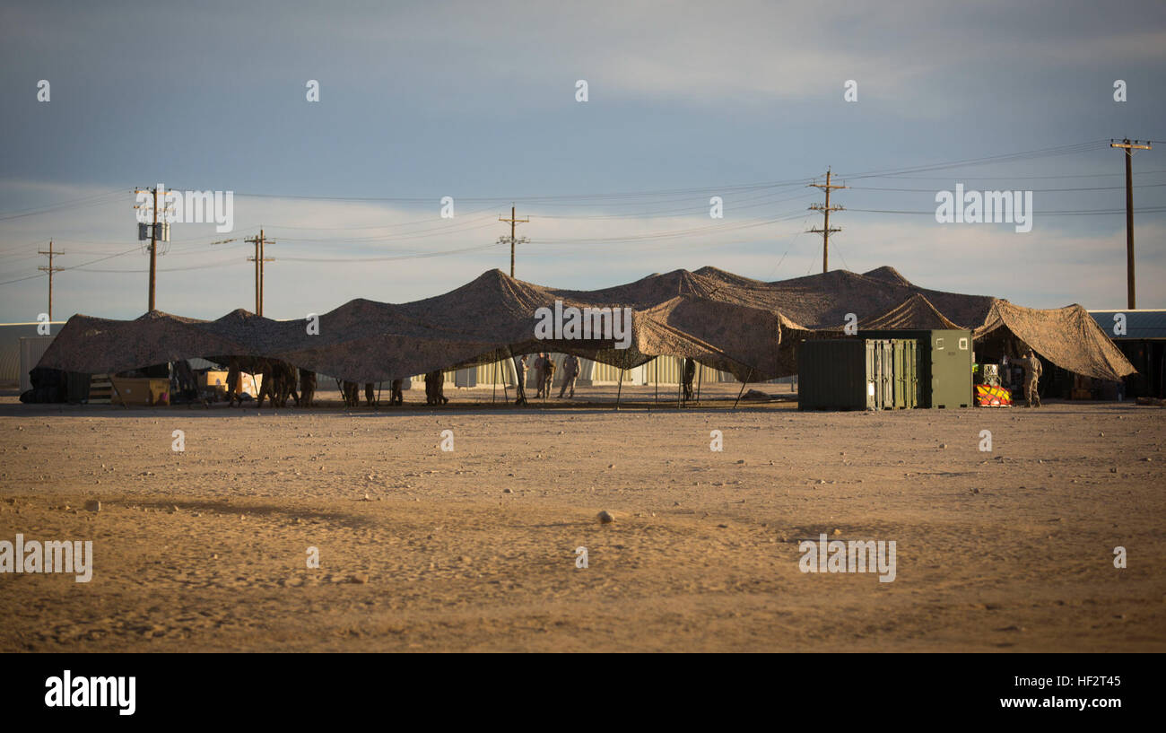 Cammie netting hi-res stock photography and images - Alamy