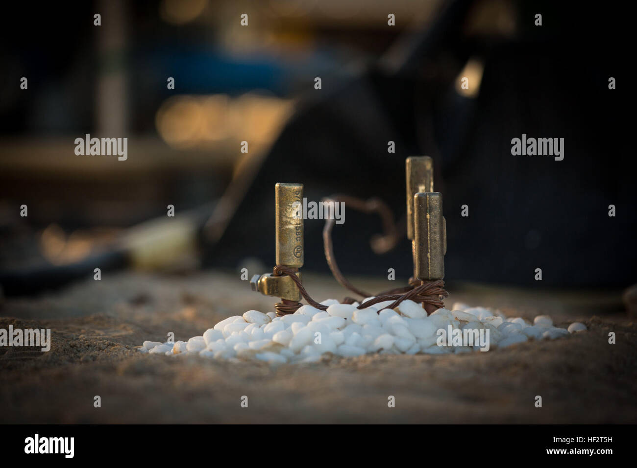 A Grounding System is covered in salt rocks to help draw more ...