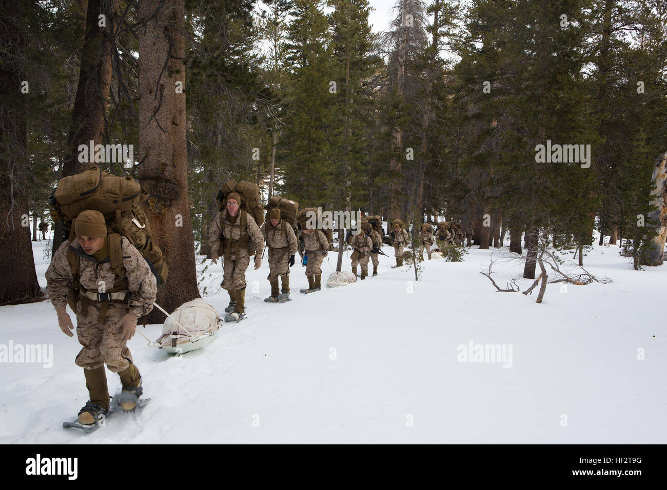 U.S. Marines with Combat Logistics Battalion 26, 2nd Marine Logistics ...